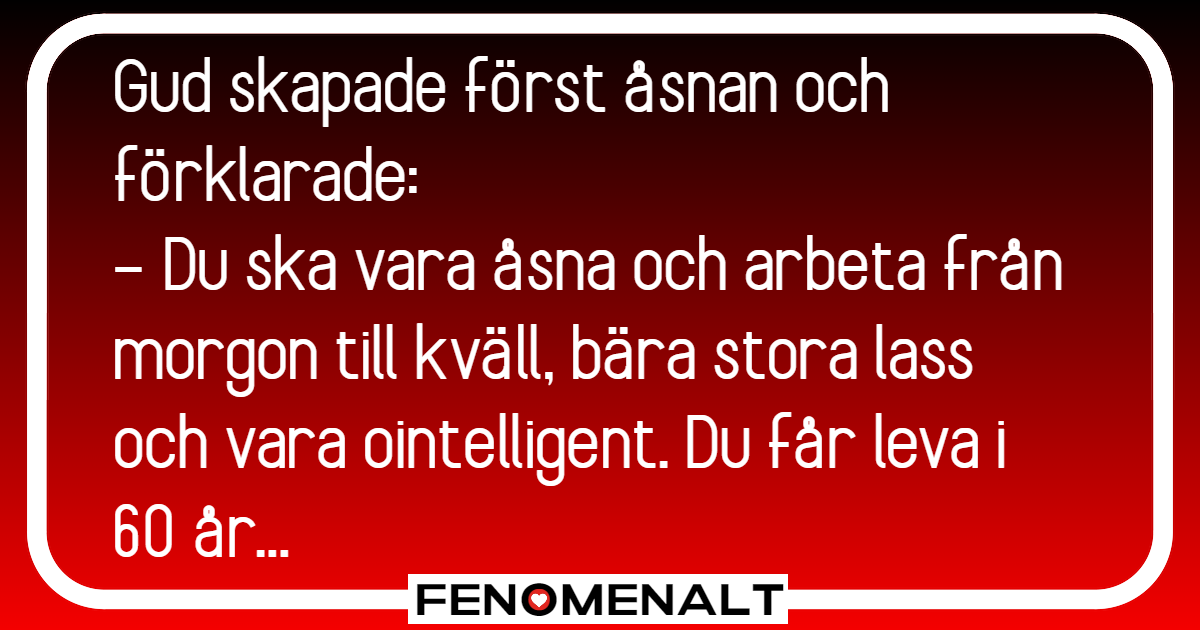 Varför är vi människor som vi är? Här är den enkla förklaringen ...